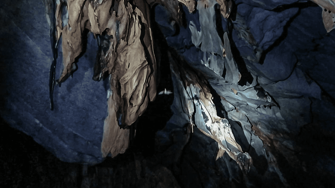 Exploring the Puerto Princesa Underground River: A Jewel of Palawan's ...